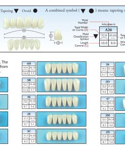 Dymon-Hue Plastic Teeth – Anterior 1 x 6 card – Orthodontic Supply ...
