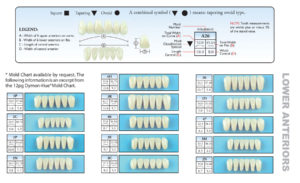 Dymon-Hue Plastic Teeth – Anterior 1 x 6 card – Orthodontic Supply ...