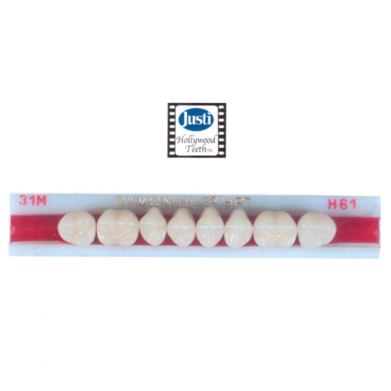 Dymon-Hue Plastic Teeth – Posterior 1 x 8 card – Orthodontic Supply ...