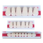 Products – Orthodontic Supply & Equipment Company